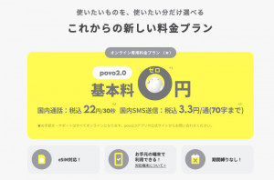 データSIMはナンバーポータビリティ(MNP乗り換え)ができない。 | BizPLUS