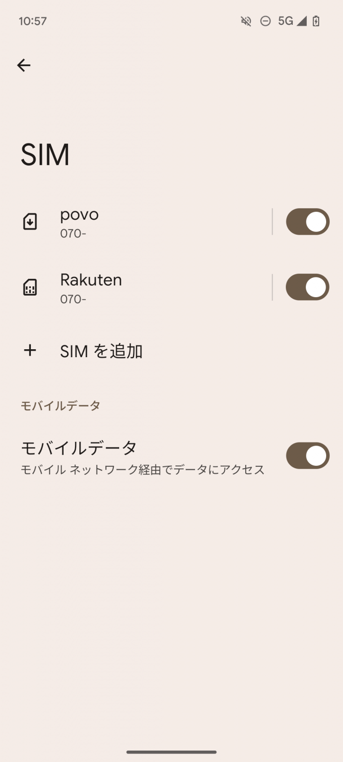Google Pixel 10のデュアルSIM機能はeSIM2枚や複数枚で通信できるのか解説。 | BizPLUS