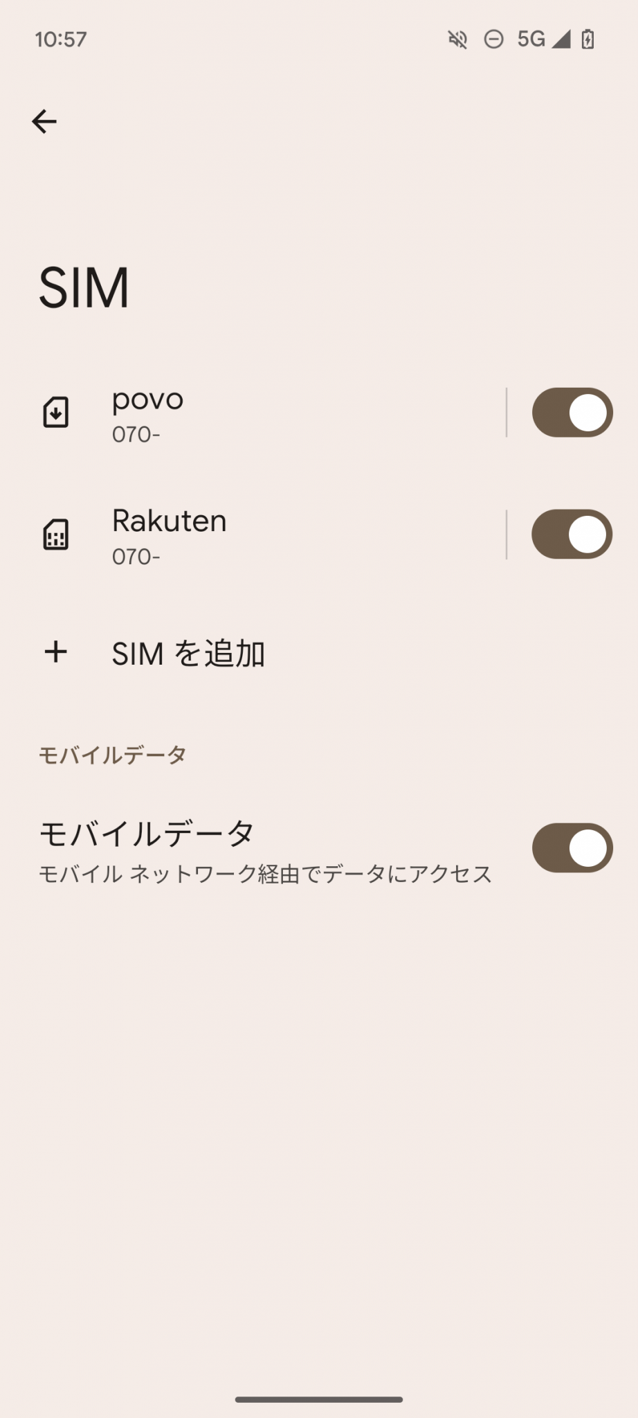 Google Pixel 10のデュアルSIM機能はeSIM2枚や複数枚で通信できるのか解説。 | BizPLUS