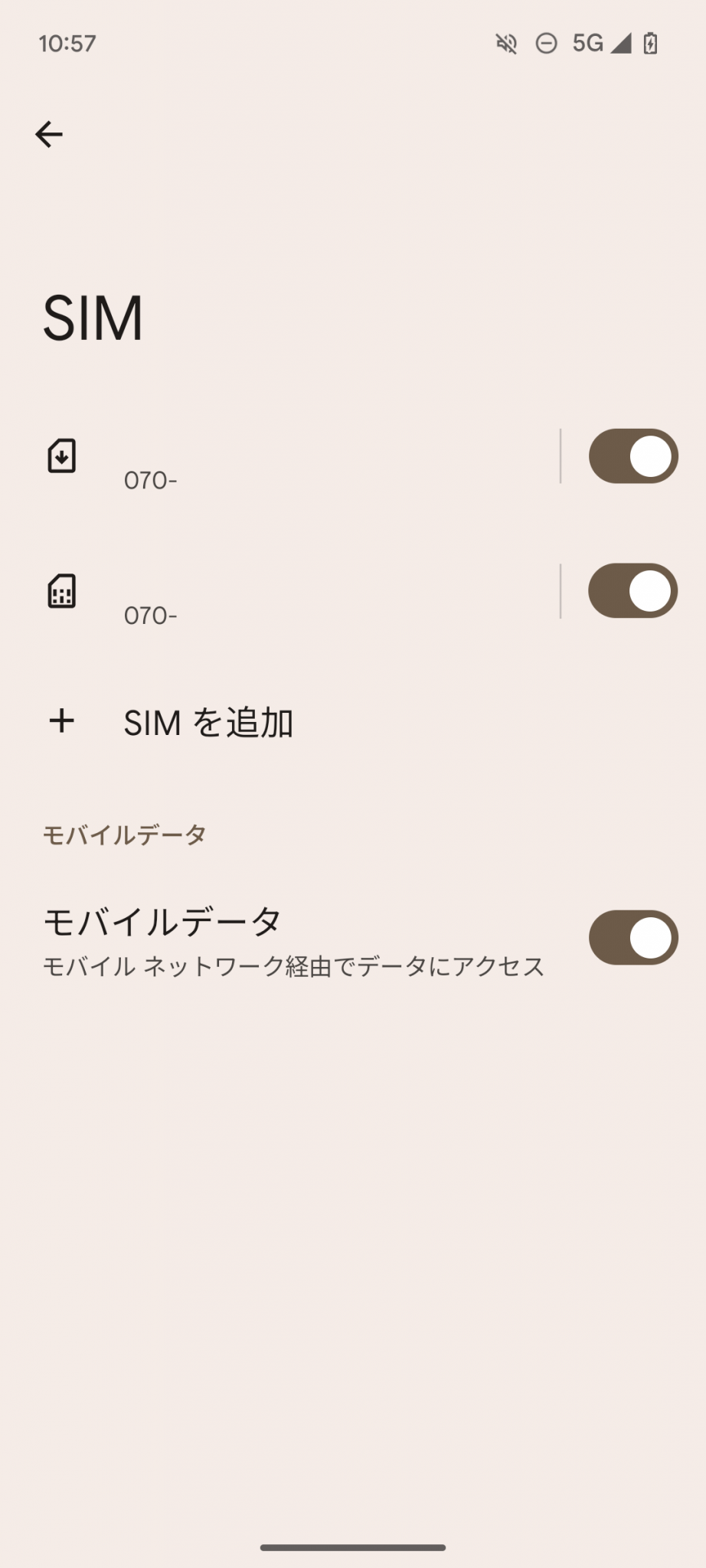 楽天モバイルはデュアルSIM対応。対応機種の条件や併用におすすめのSIMは？ | BizPLUS