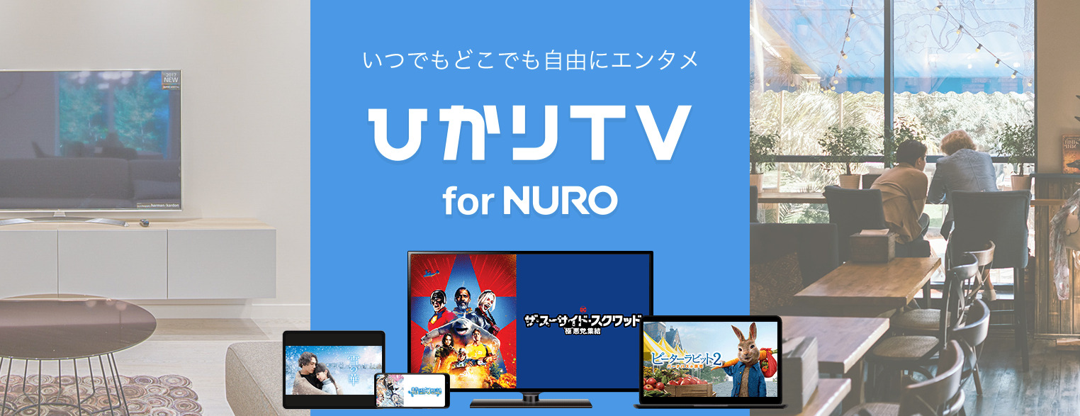 NURO光のテレビオプション「ひかりTV for NURO」をプロが解説！チューナー購入や対象エリアの注意点 | BizPLUSブログ
